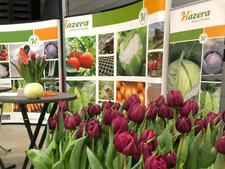 The Netherlands – Hazera – Seeds of Growth