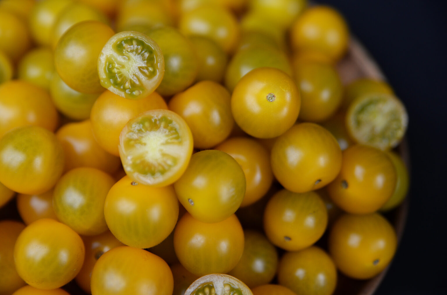 The Netherlands – Hazera – Seeds of Growth