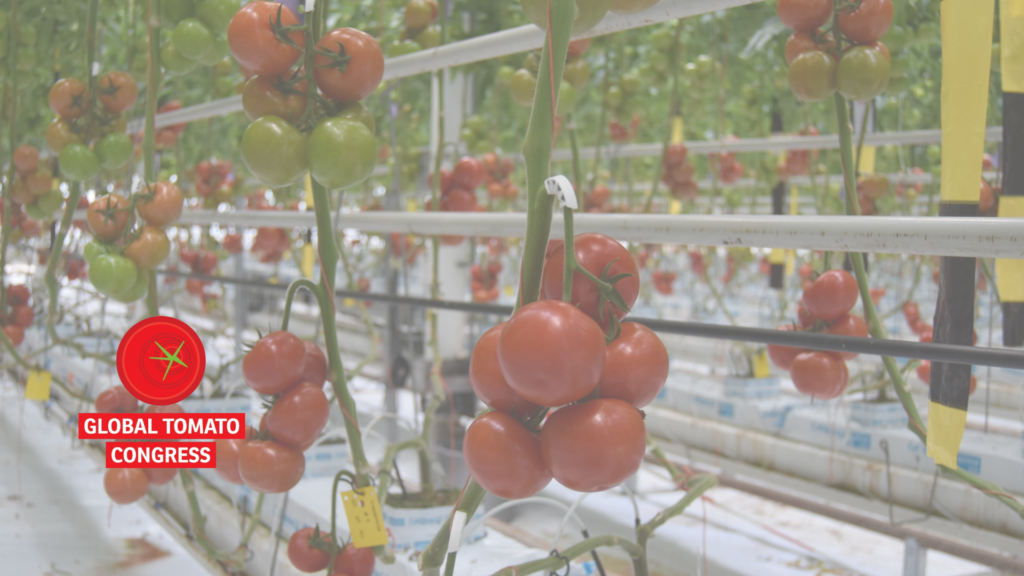 Meet us and check our ToBRFV resistant tomatoes at the Global Tomato ...