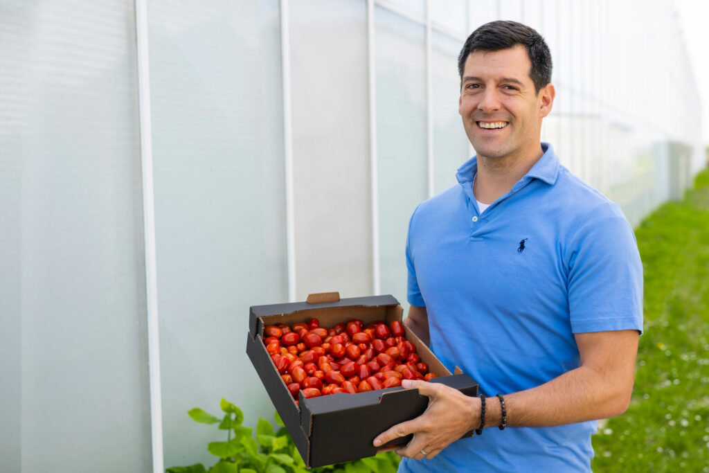 How the ToBRFV varieties changed the tomato market in Spain - The ...