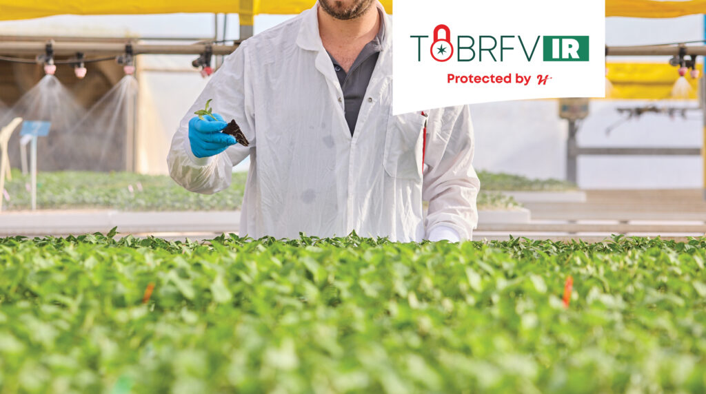 Breeding the Future: Leading the way in Performance and Protection ...